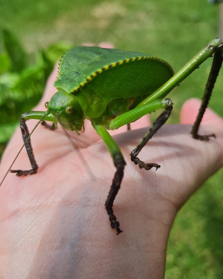 Events – Heritage and culture